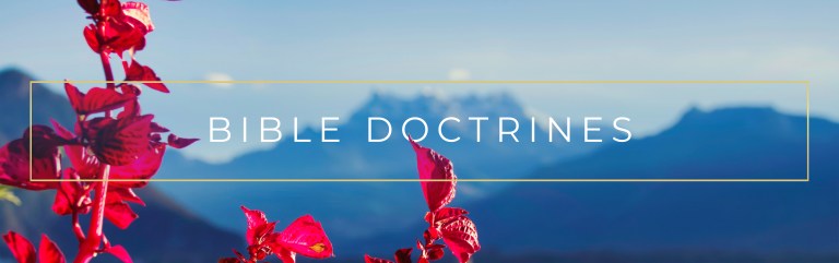 Bible Doctrines – The Collected Works of Stanford E. Murrell