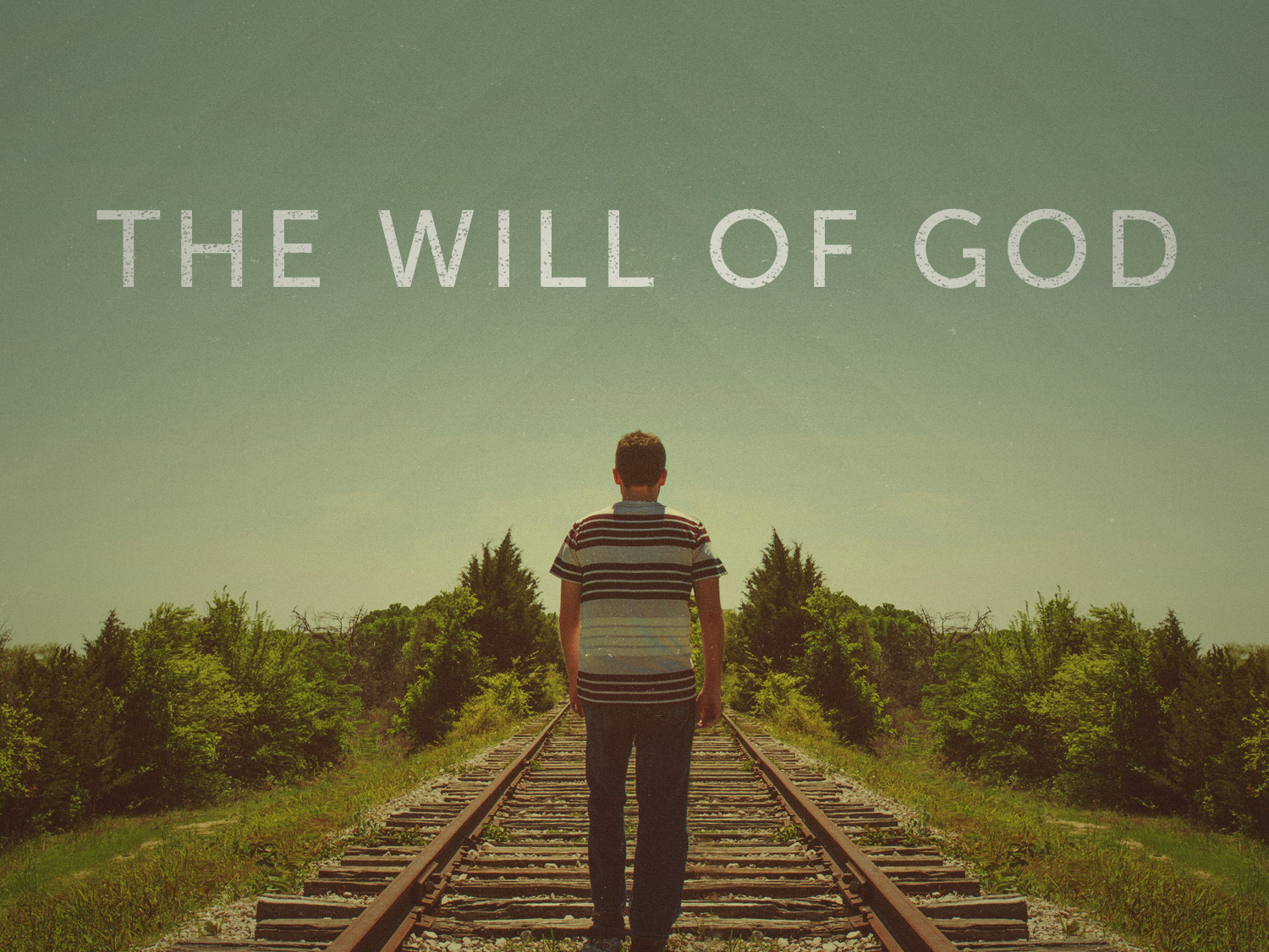 The Will of God – The Collected Works of Stanford E. Murrell
